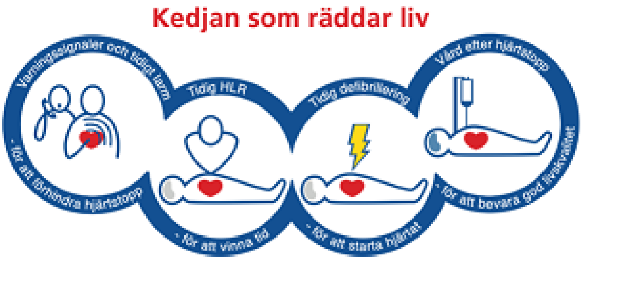 HLR Hj rt lungr ddning Svenska Lottak ren hlr-hj-rt-lungr-ddning-svenska-lottak-ren